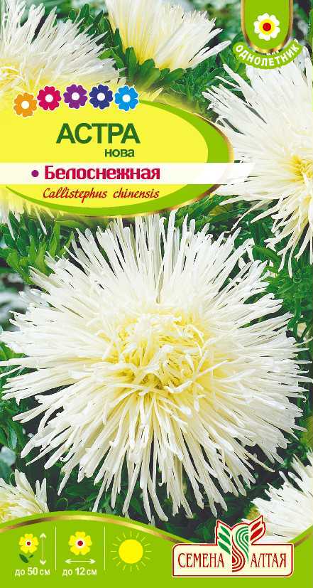 Семена