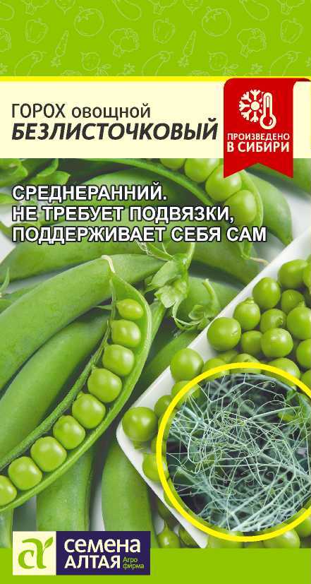 Горох