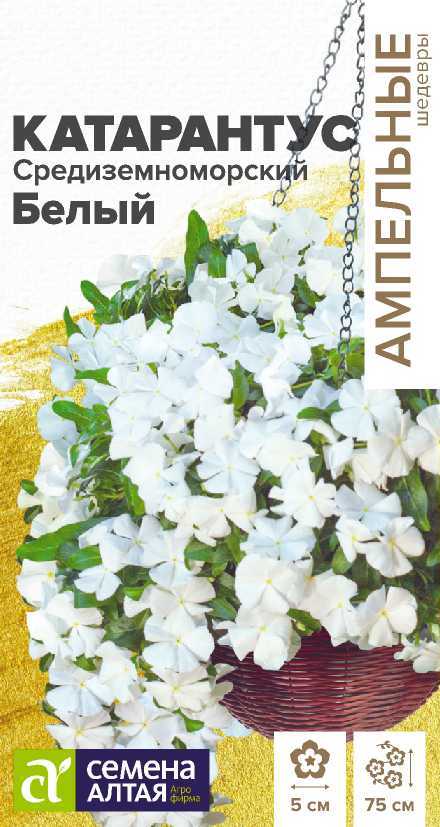 Катарантус